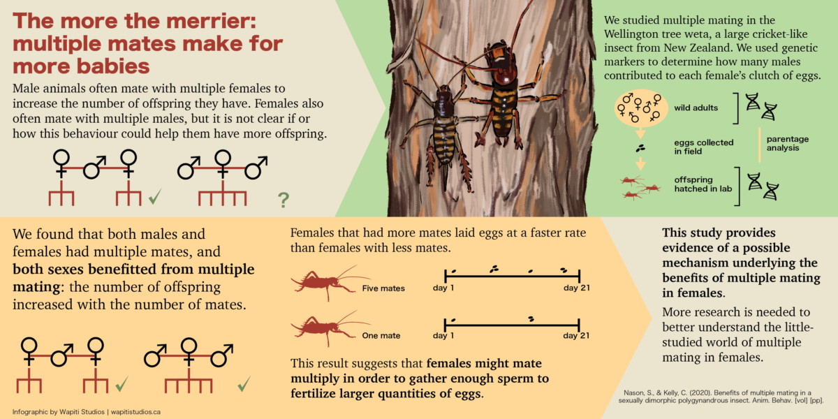 Why we need science communication for nature conservation - Lifeology