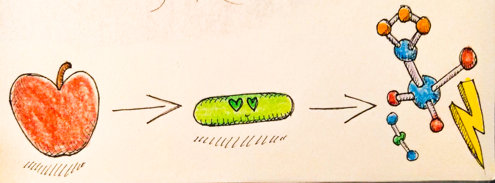 The "Smaller than the eye can see" Microbial World - Lifeology