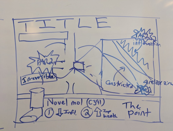 An infographic design from start to finish - Lifeology