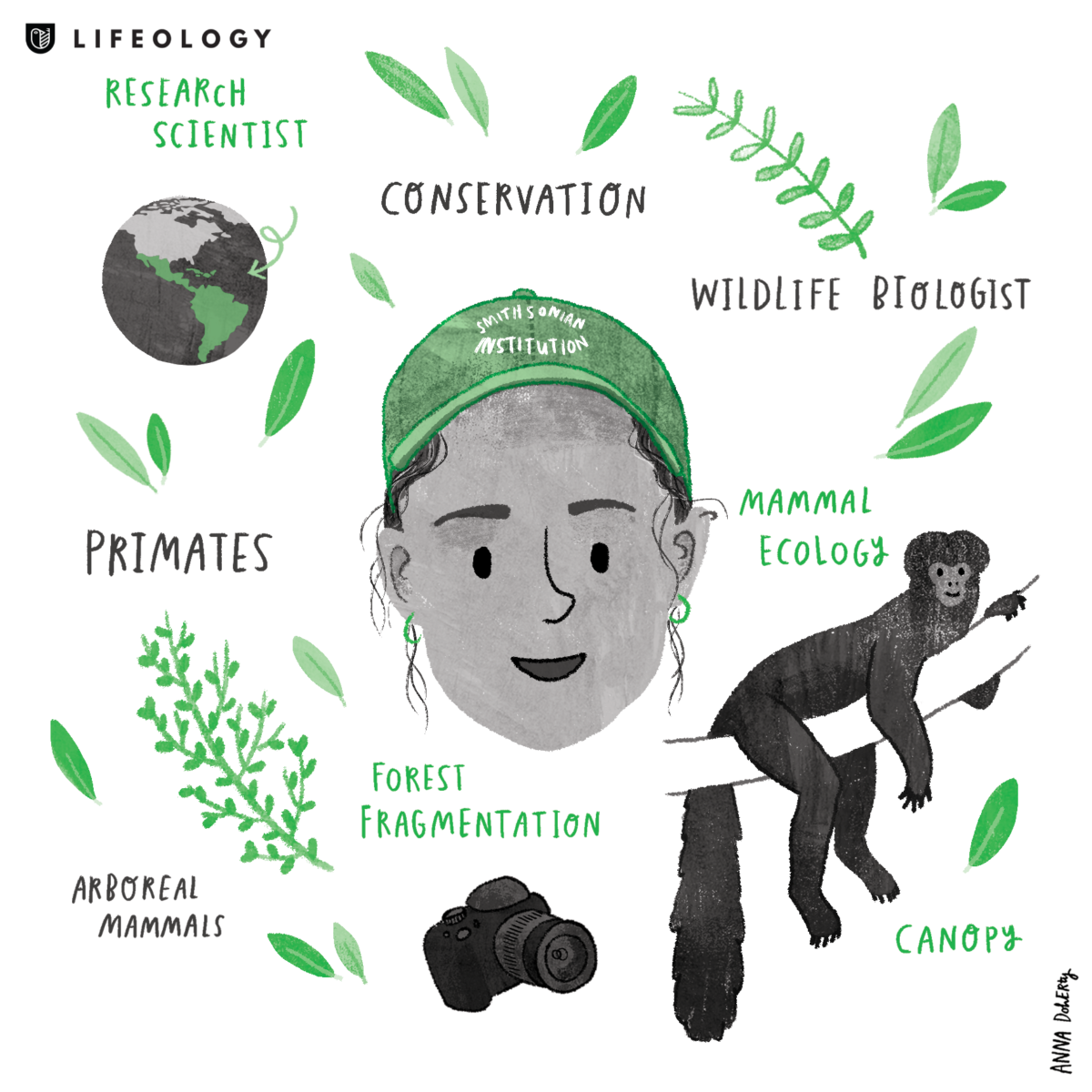 Meet Women in STEAM who inspire! July 2020 Edition - Lifeology