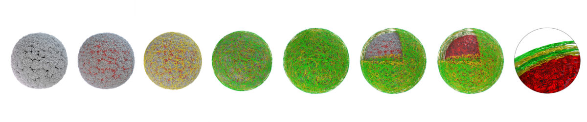 ChemBio Illustrations - Daimon Hall, an Artist Highlight - Lifeology