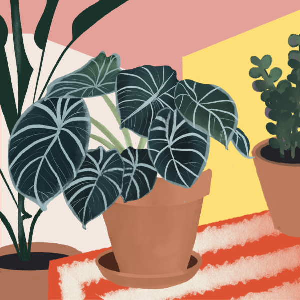 Nature, Art and Mindfulness - Art Activities for All Levels! - Lifeology