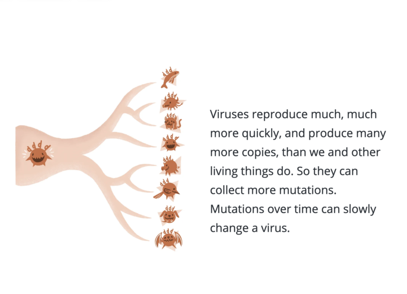 A primer on the new SARS-CoV-2 variants and virus mutations - Lifeology