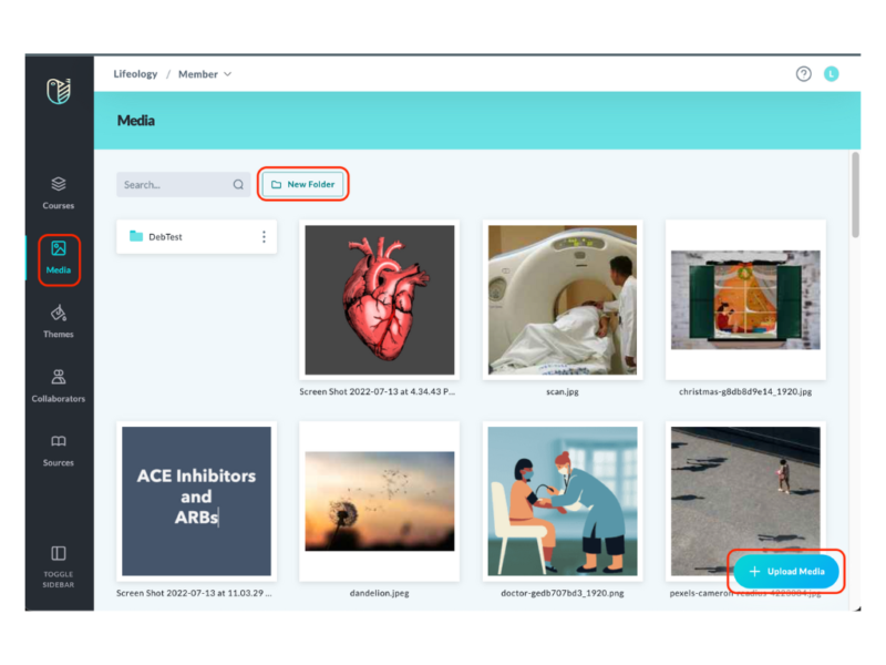 Builder Layout - Lifeology
