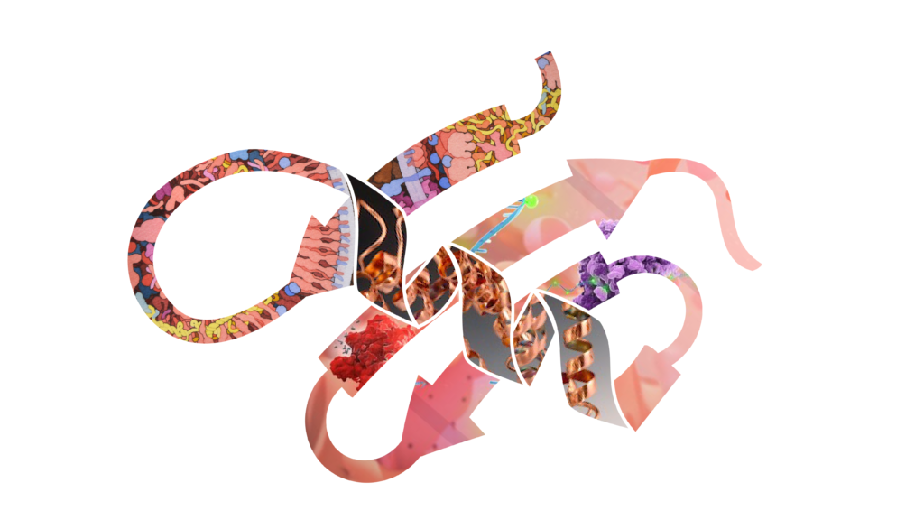 How Art Can Improve Your Science - SciArt Collage - Lifeology