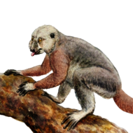 Victoria Grabowski | Lifeology